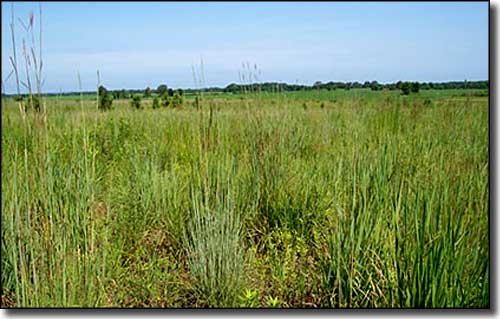Key Cave National Wildlife Refuge | Alabama National Wildlife Refuges