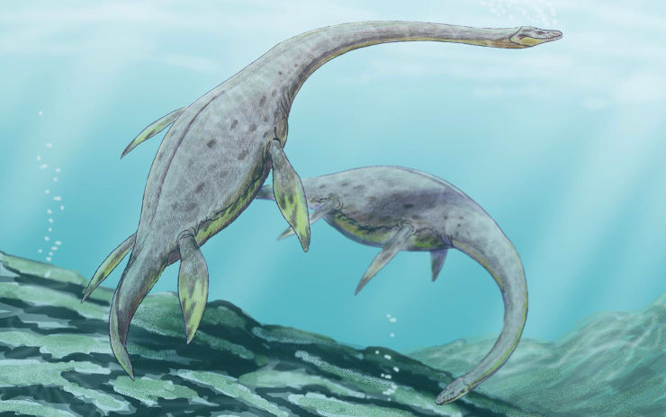 The Jurassic Period Geology
